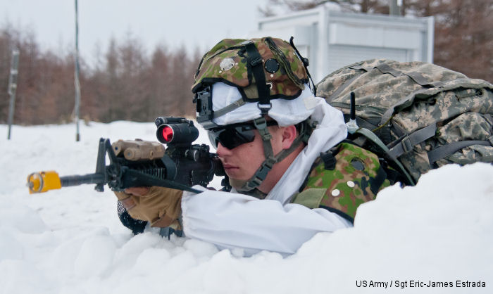 US Army Aviation Battalion Japan - US Army Aviation
