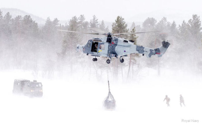Wildcats for the First Time in Arctic Training