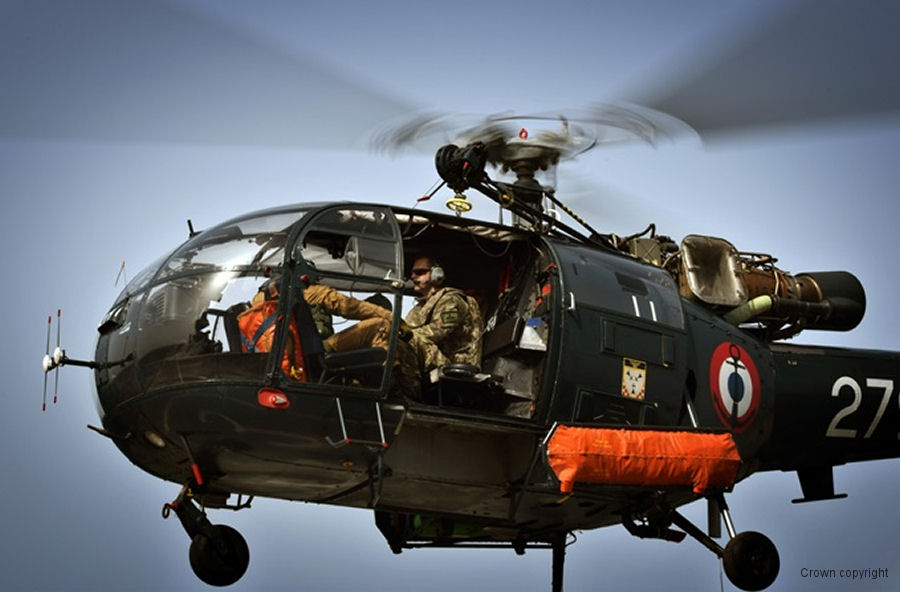 Royal Navy Wildcats Returned from French Mission