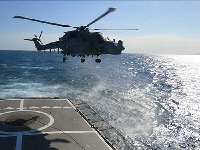 Brazilian Wild Lynx First Landing on Ship