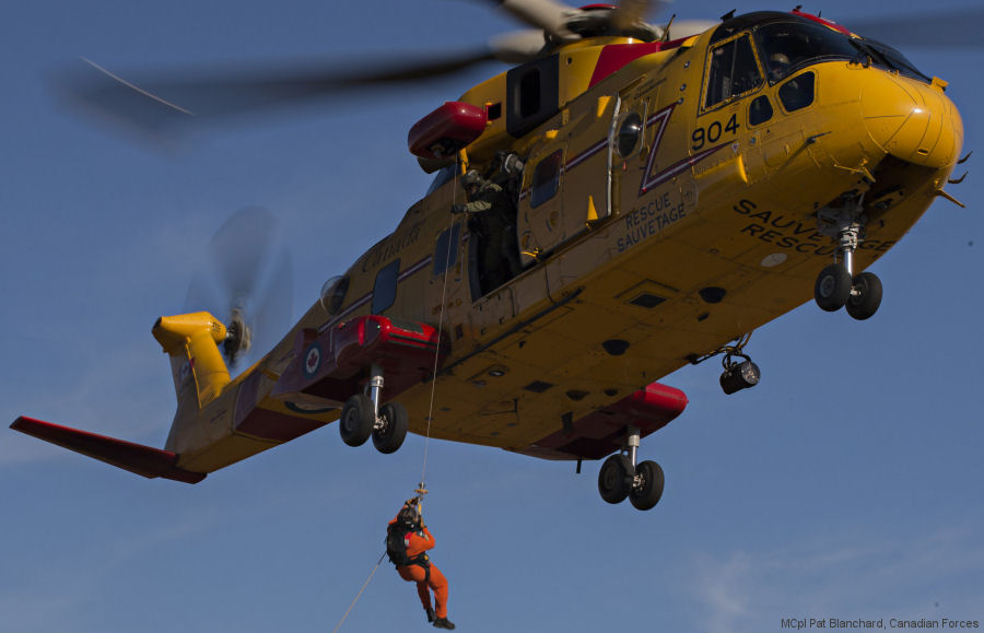 20th Anniversary of Canadian Cormorant