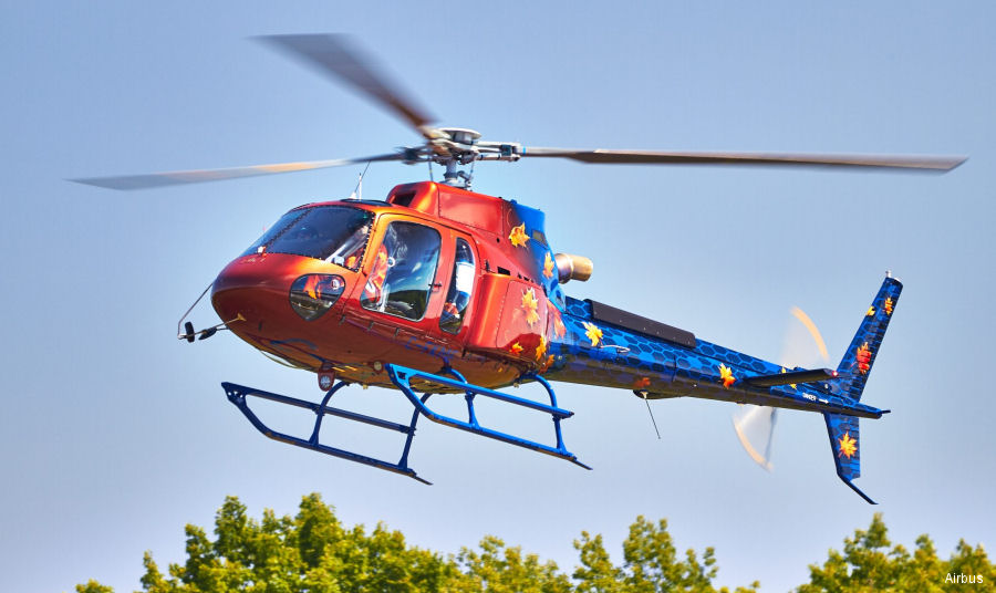 Bear Paw for H125 (AS350/355)