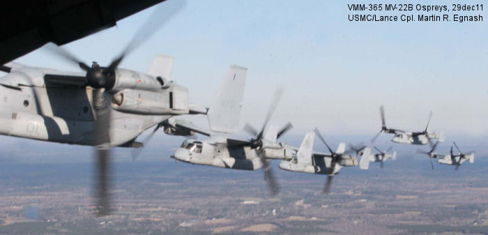 VMM-365 - Blue Knights - US Marine Corps