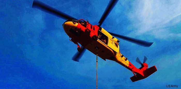 Multinational Force and Observers