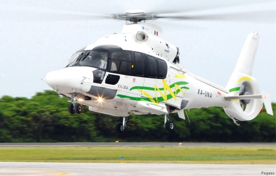 EC155B1 in Transportes Aereos Pegaso