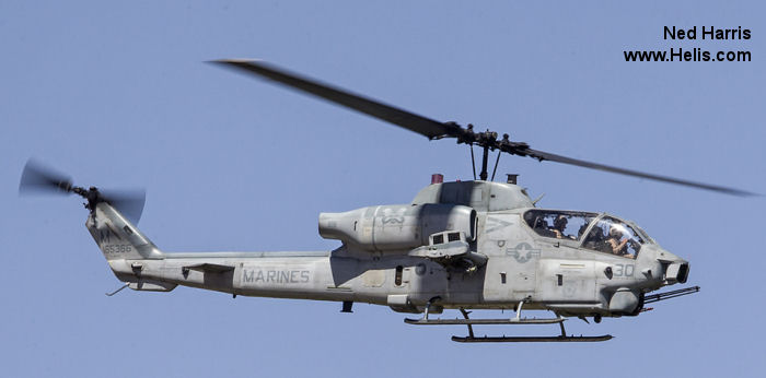 Hmla 369 Gunfighters With Yosemite Sam Emblem